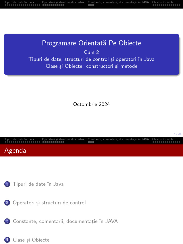 Programare Orientat A Pe Obiecte | PDF