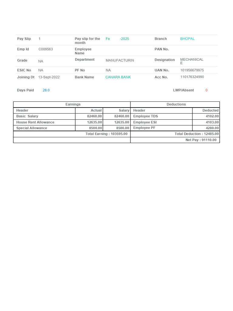 Pay Slip February 2025 | PDF