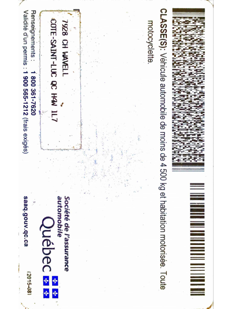 Driver’s License | PDF