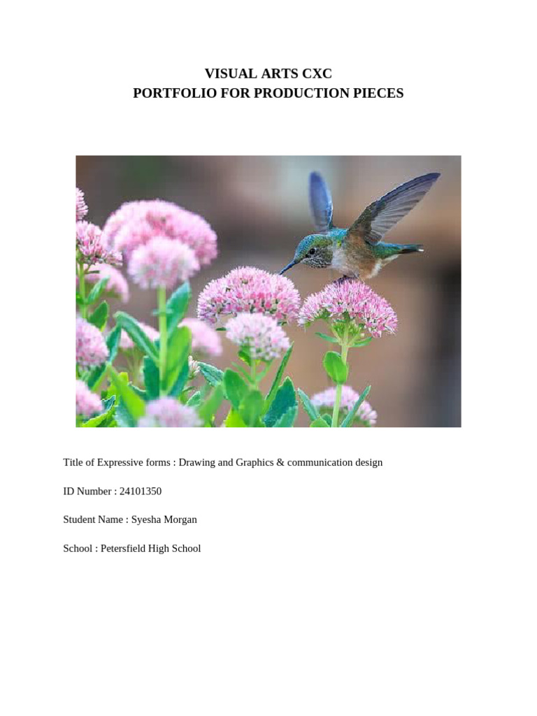 Visual Arts Portfolio | PDF | Drawing