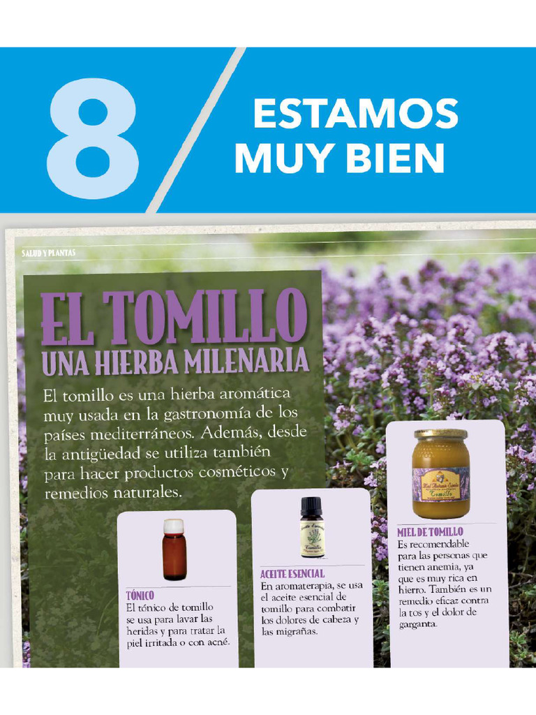 Un8. Teoría. AIP2 | PDF