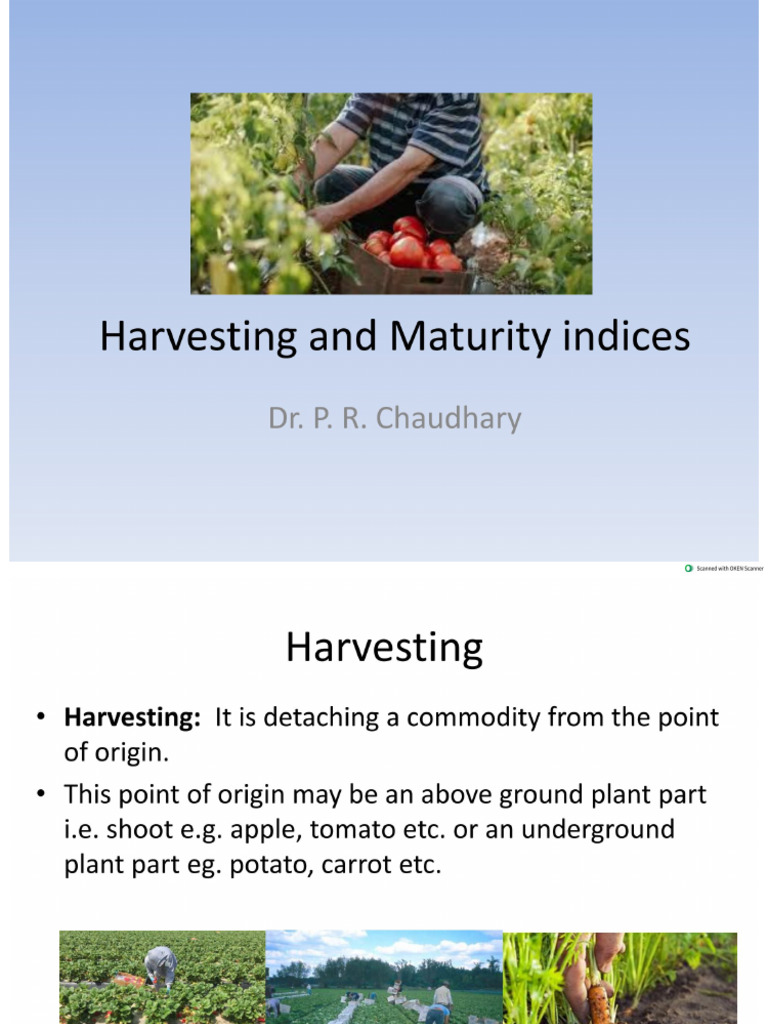 Harvesting and Maturity Indices | PDF