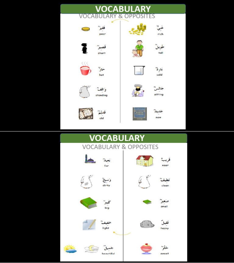 Vocabulary-Lesson 3 | PDF