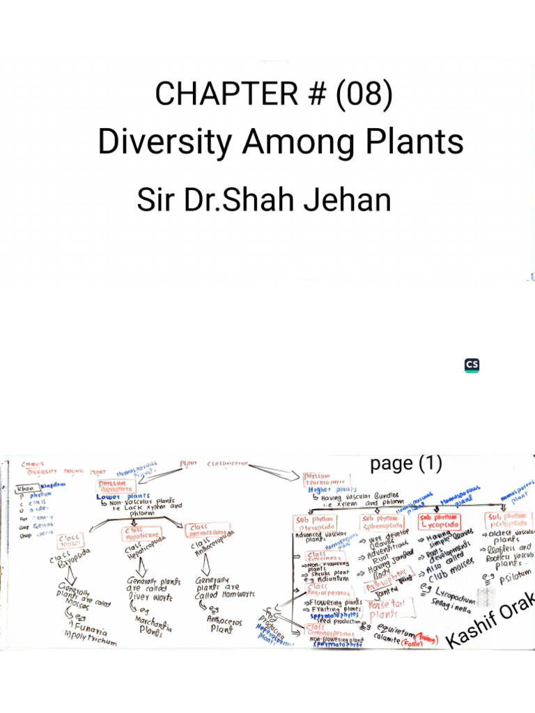 BIO Ch#8 Diversity Among Plant | PDF