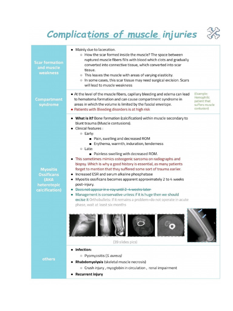 Injuries and muscles injuries | PDF