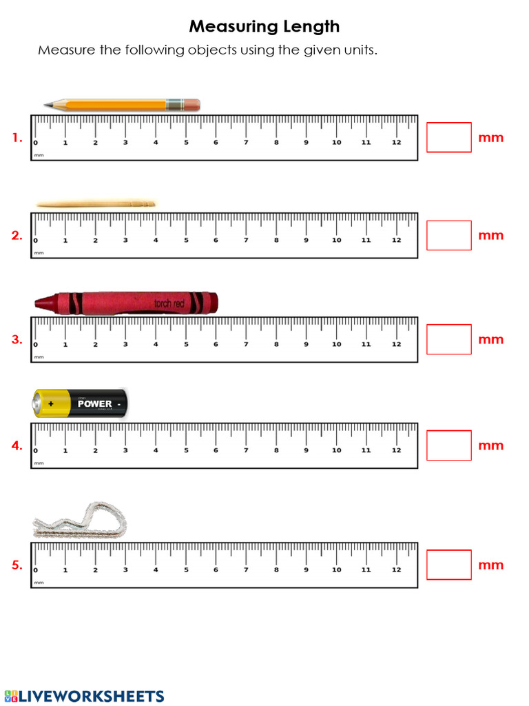 Measuring Length Worksheet | PDF