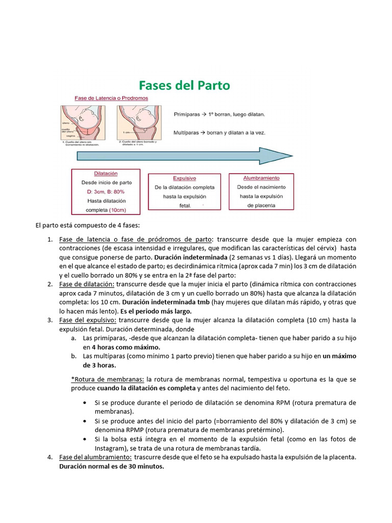 Mecanismos de Parto Normal | PDF | Parto | Maternidad
