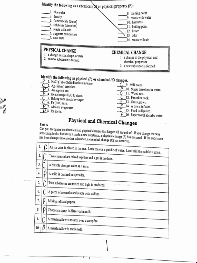 Unit 4 Packet Answer Key | PDF
