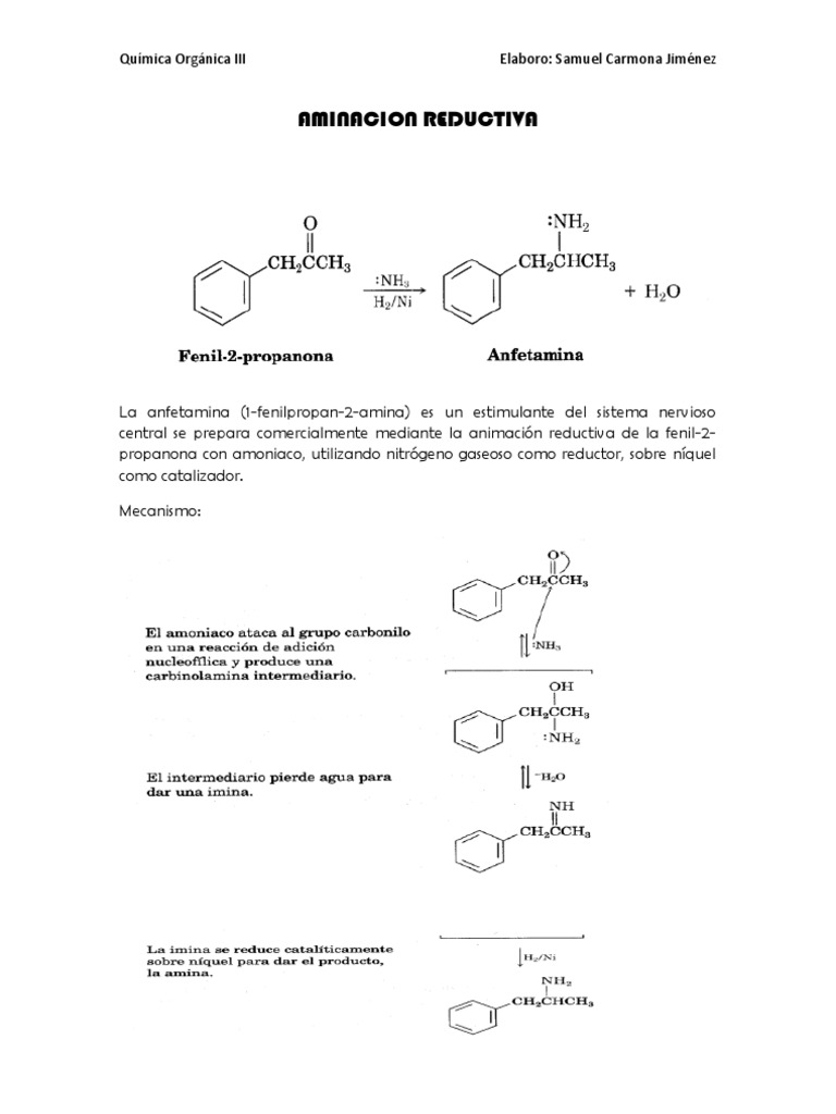 Aminacion Reductiva | PDF