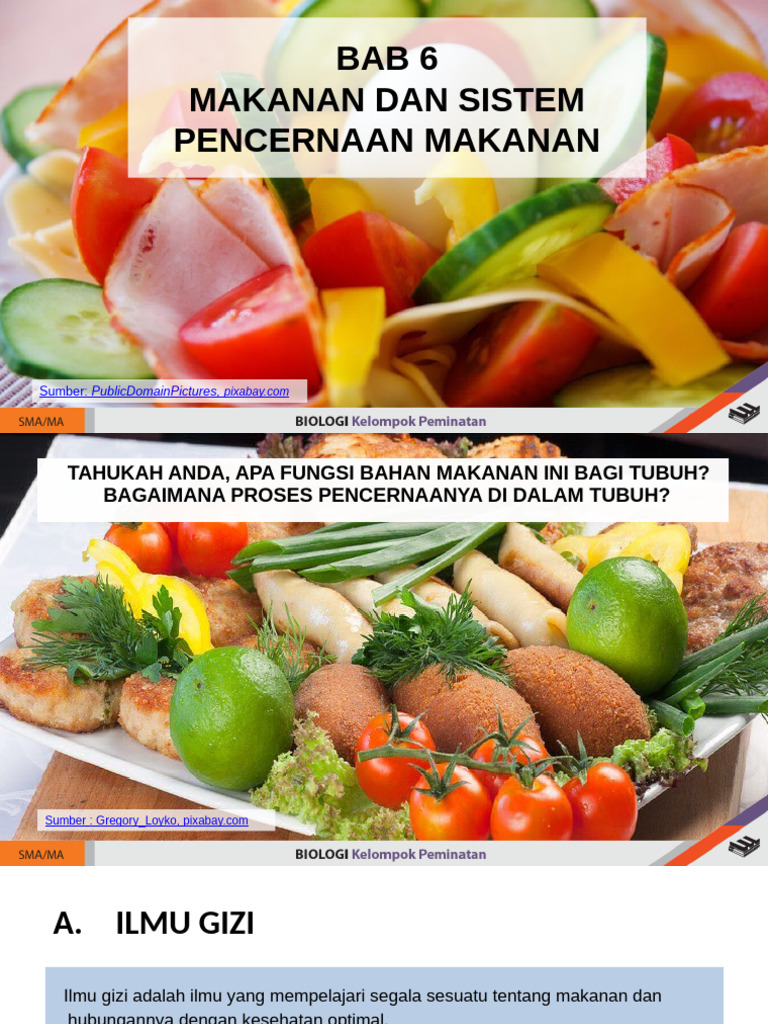 Bab 6 - Sistem Pencernaan - Xi | PDF