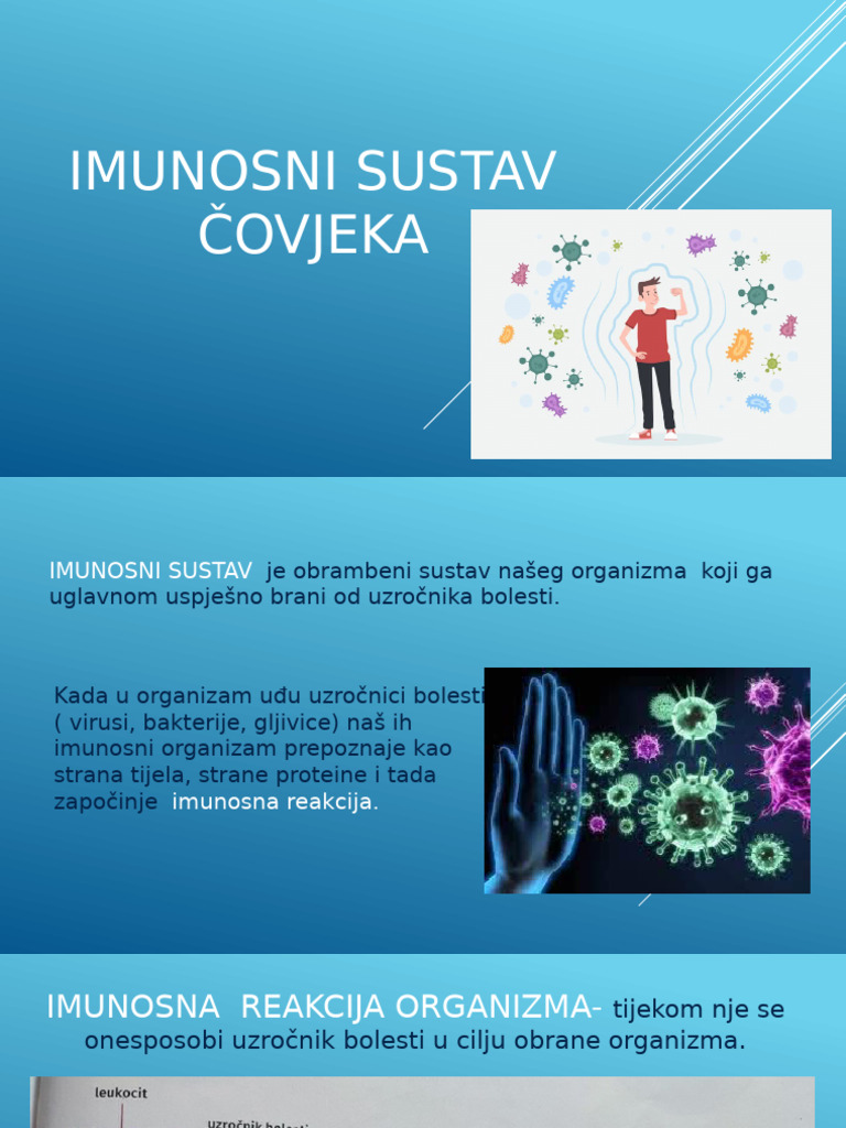 Imunosni Sustav Čovjeka | PDF