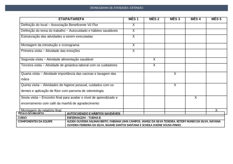Cronograma Projeto de Extensão IV | PDF