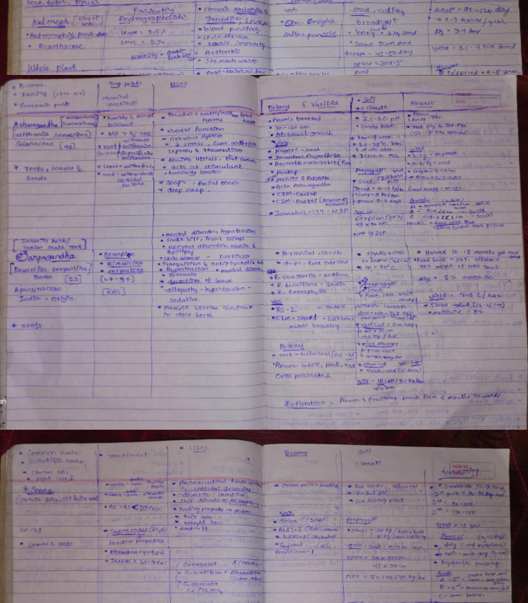 Midterm PMA-202 Chart | PDF