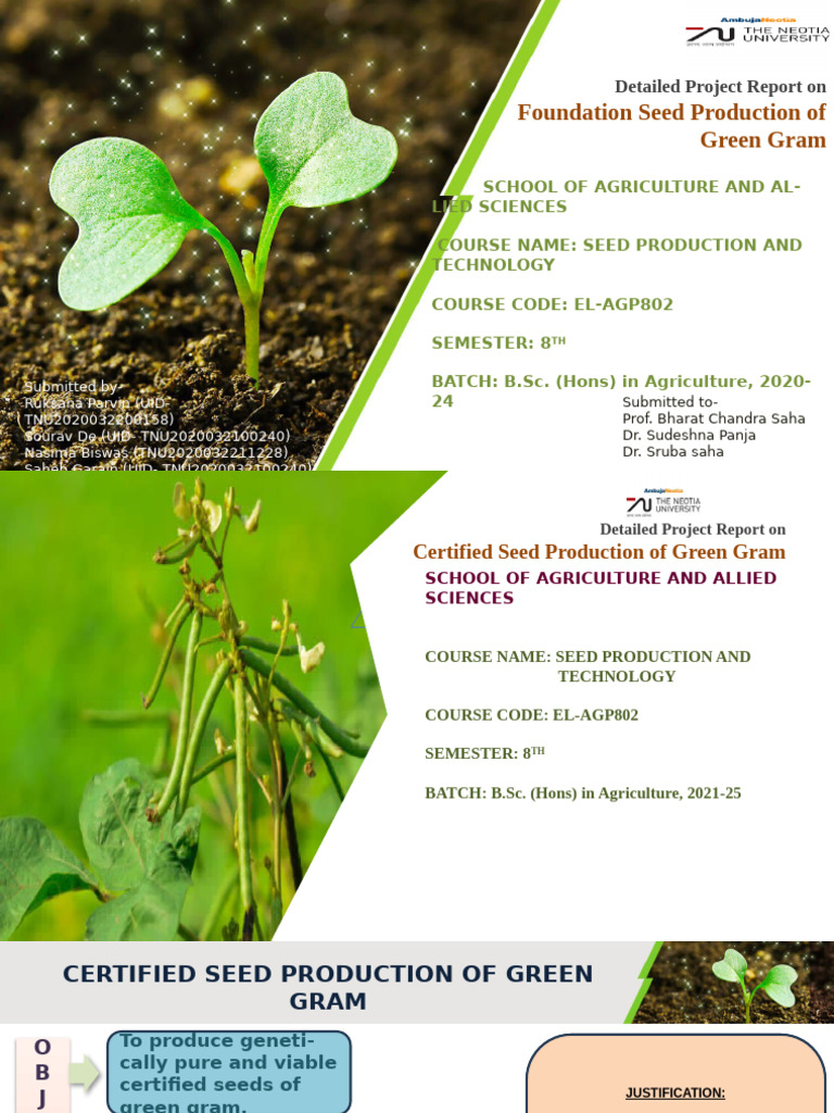 Seed PPT Final Internal | PDF | Revenue | Agriculture