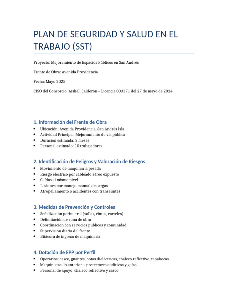 Plan SST Avenida Providencia 2025-05-23 | PDF