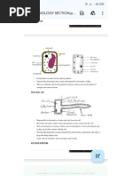 Zimsec A Level Project Guide | PDF