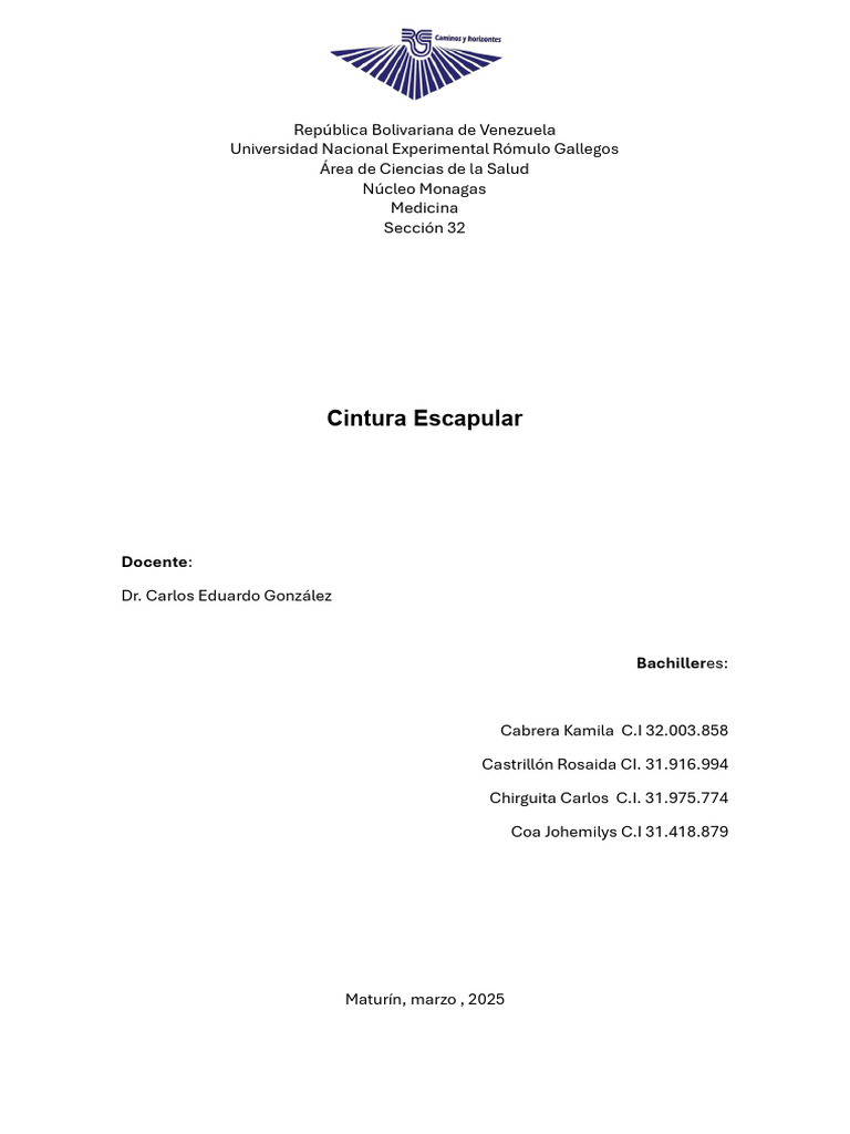 Anatomía de la Cintura Escapular | PDF | Hombro | Sistema linfático