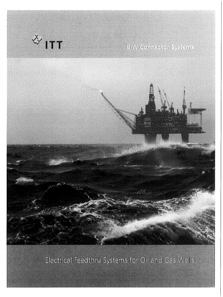 BIW Wellhead Feedthrus | PDF