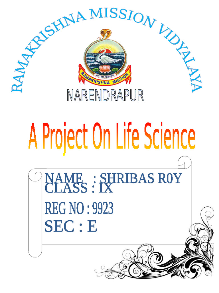Front Page Project | PDF