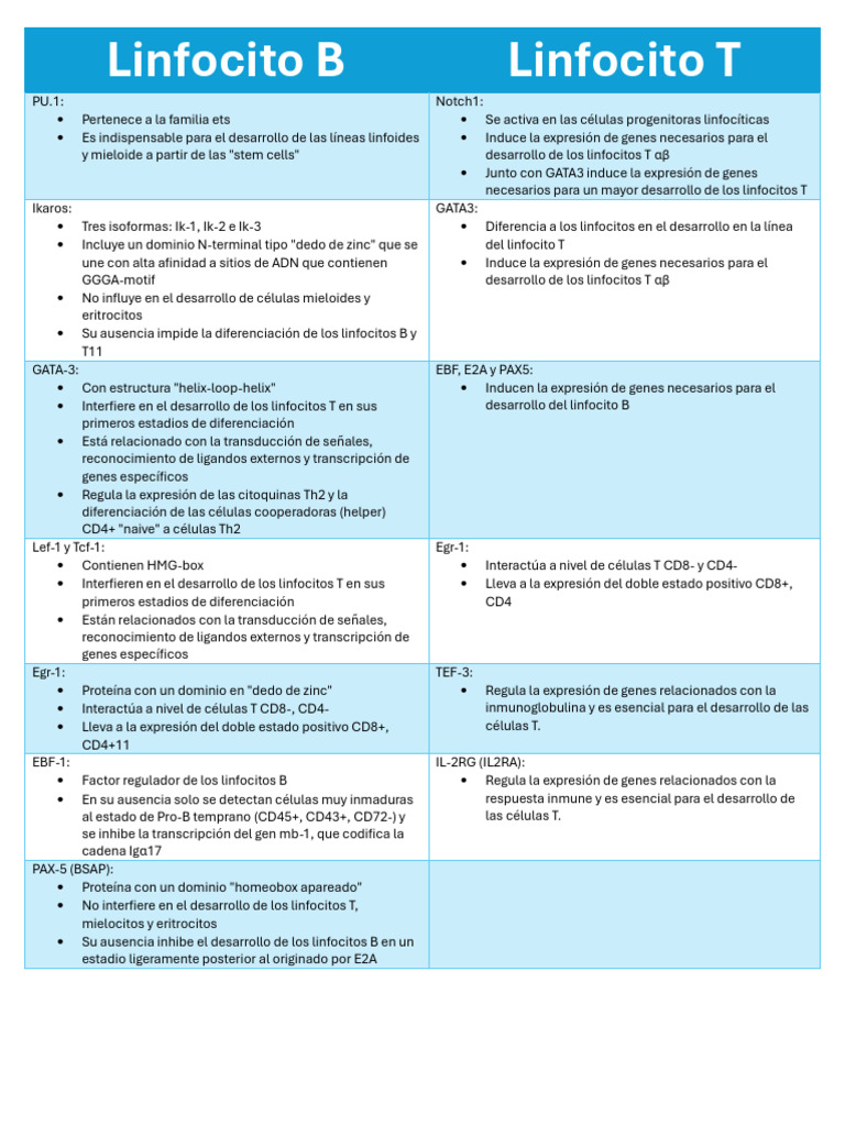 Linfocito B y T Factores de Maduracion | PDF | Célula T | Célula T citotóxica