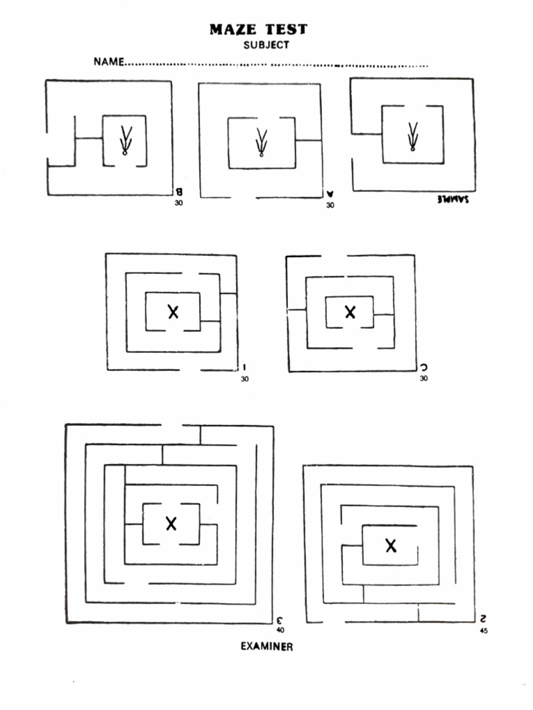 Misic Sheet Plus Questions From Manual | PDF