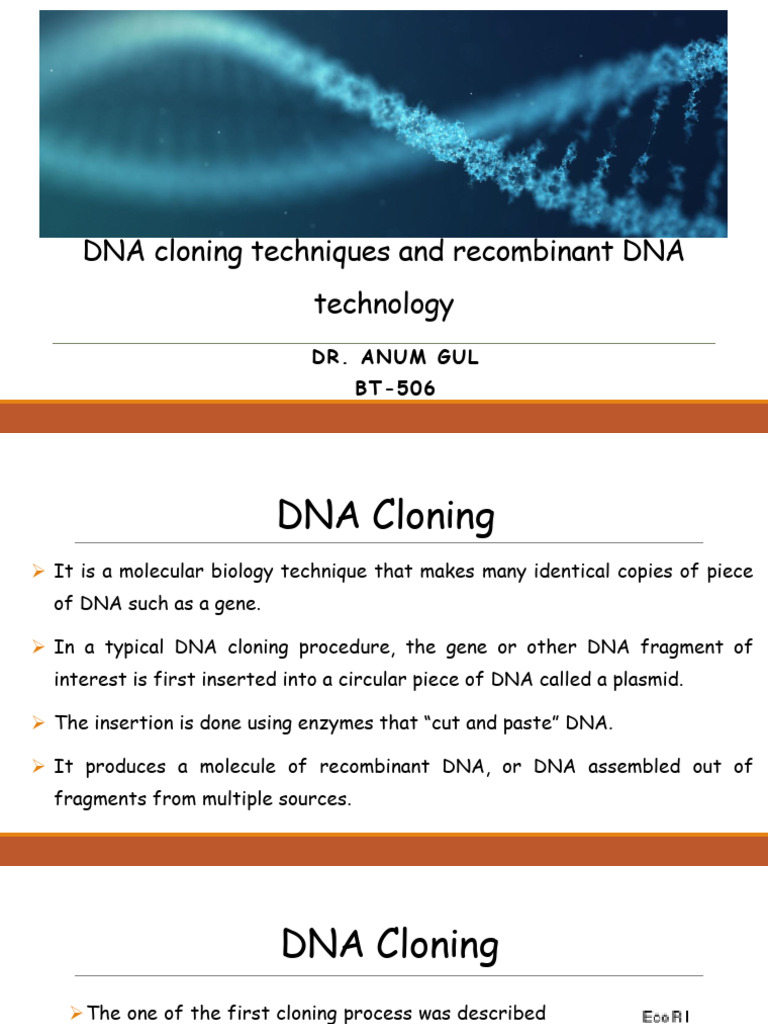 Lec 2 DNA Cloning Techniques | PDF | Plasmid | Molecular Cloning
