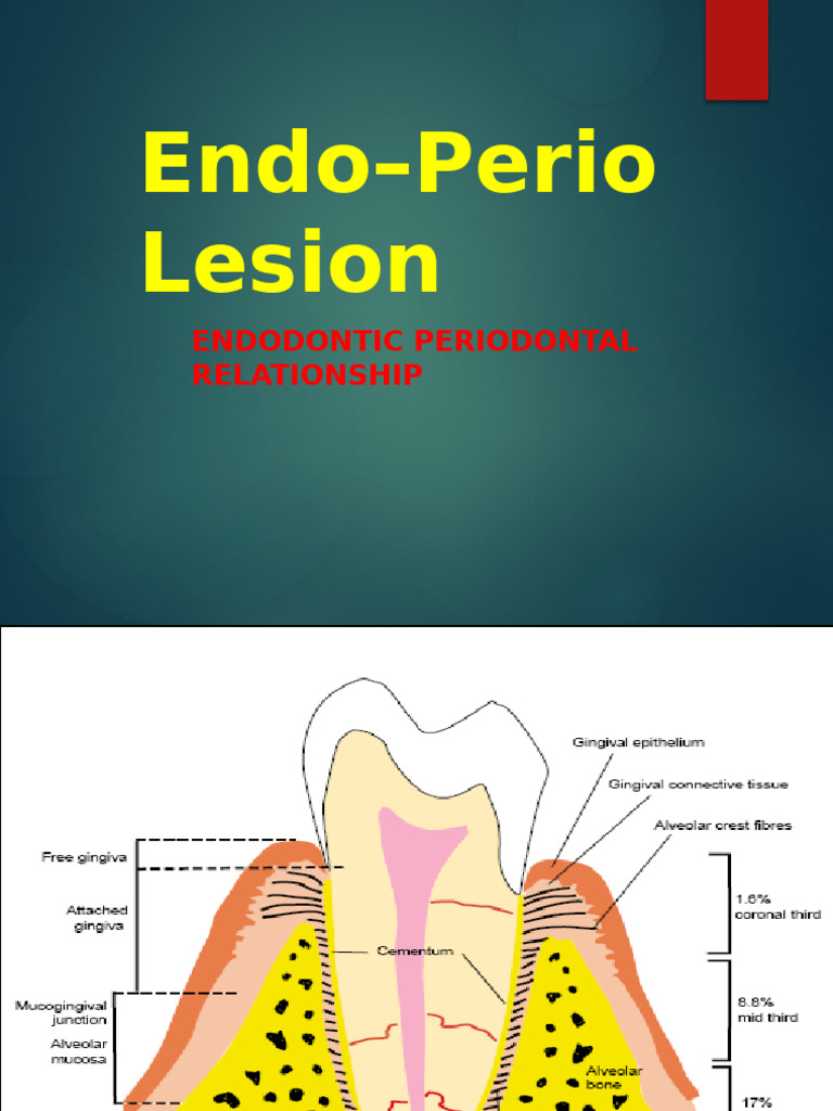 endodontic periodontal lesions lec | PDF | Periodontology | Dentistry Branches