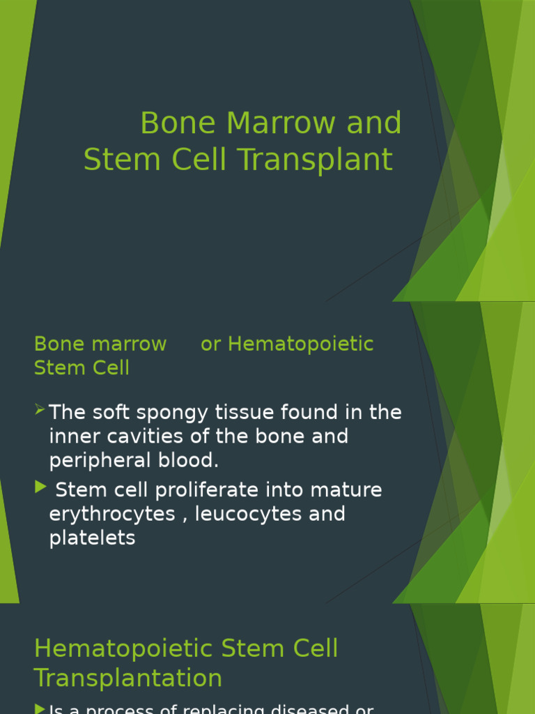 Bone Marrow & Stem Cell Transplant Guide | PDF | Hematopoietic Stem ...