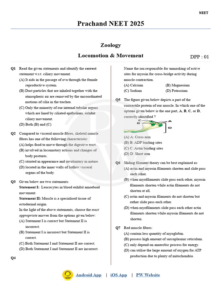 Locomotion & Movement - DPP 01 - Prachand NEET 2025 | PDF | Skeletal Muscle | Muscle Contraction