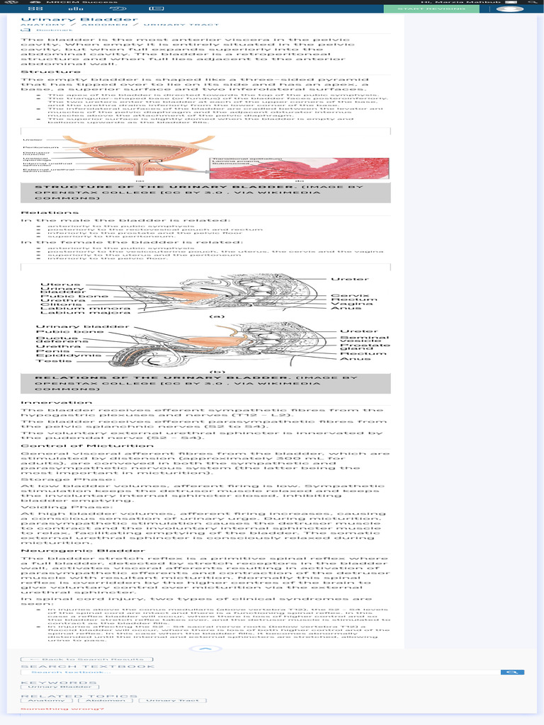 Urinary Bladder - MRCEM Success | PDF | Urination | Abdomen