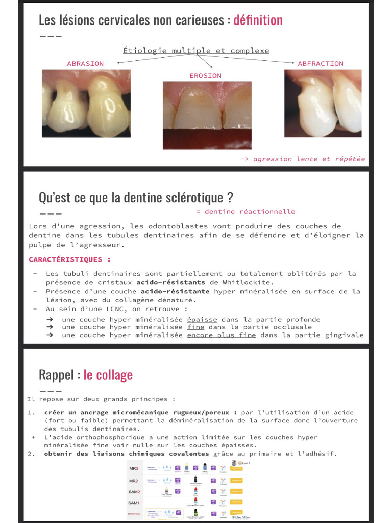 Dentine Sclerotique | PDF