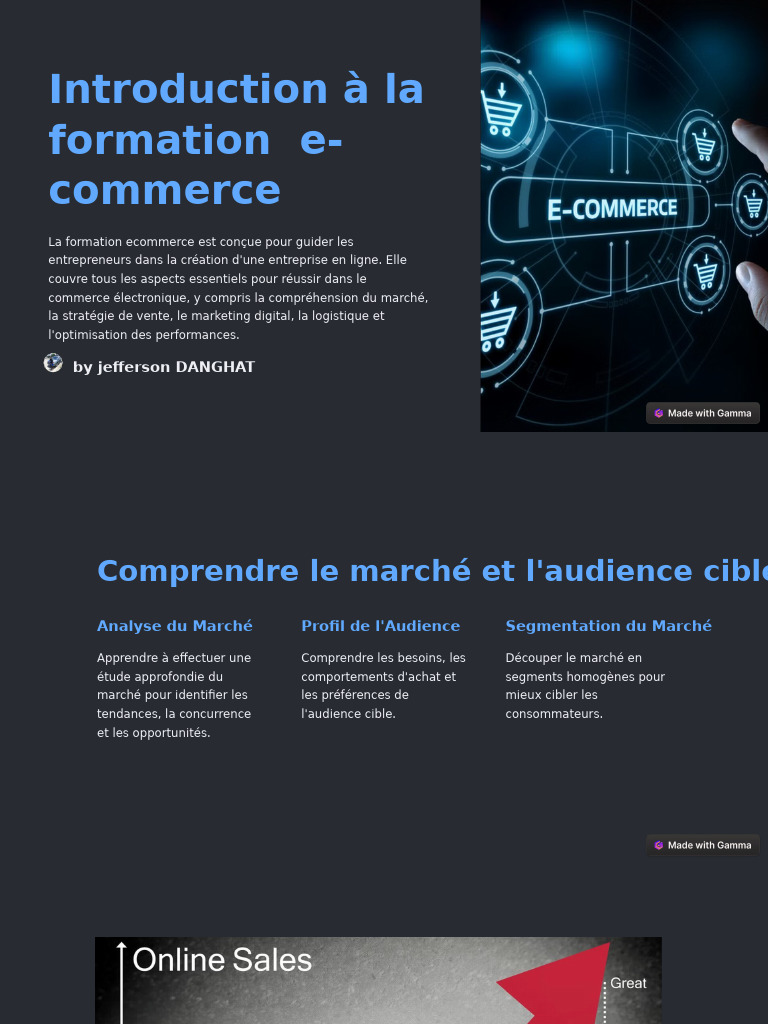 Introduction a La Formation e Commerce | PDF | Commercialisation | Commerce électronique