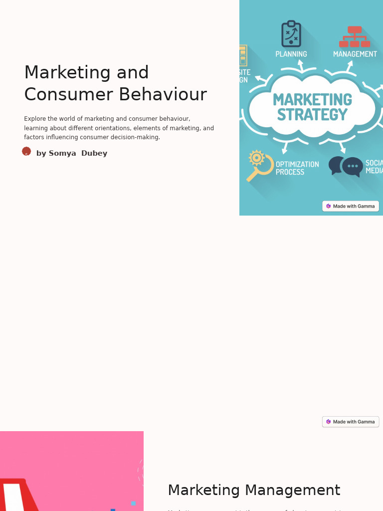 Marketing Strategies & Consumer Behavior | PDF | Marketing | Pricing