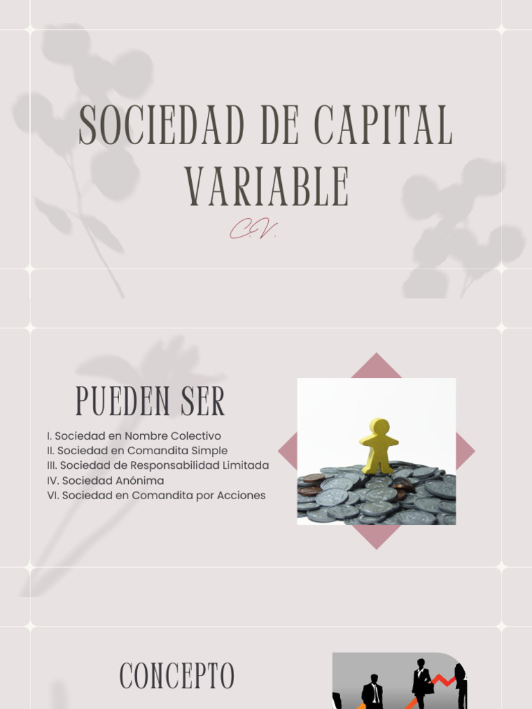 Sociedad de Capital Variable | PDF