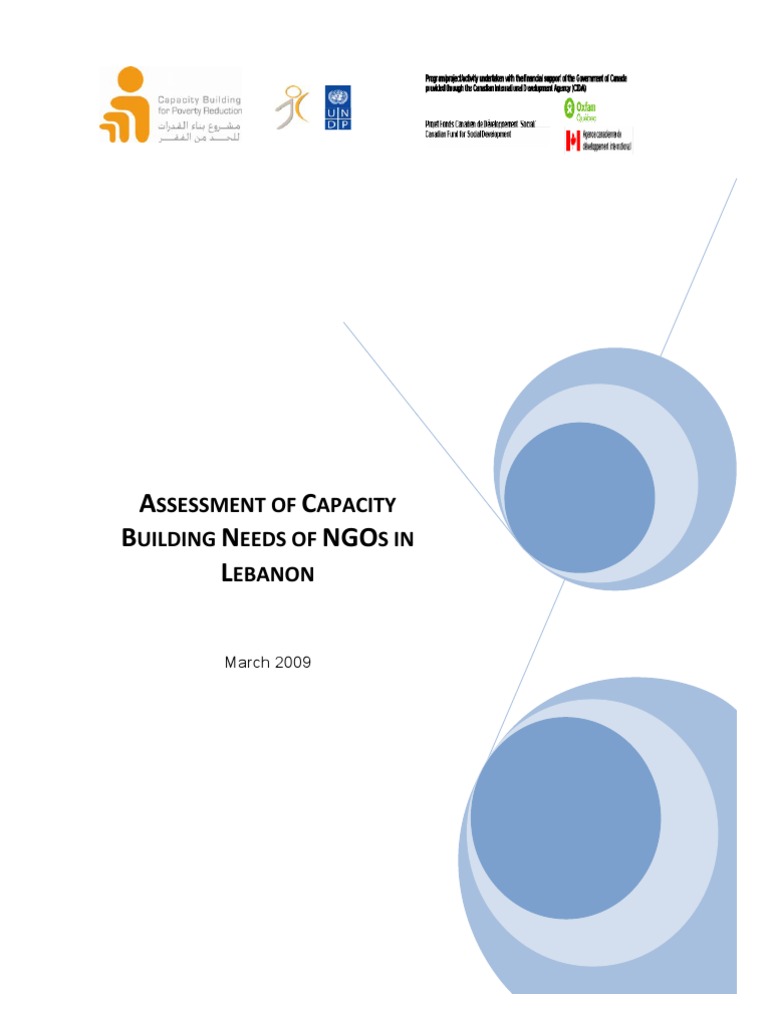 Assessment of Capacity Building Needs of NGOs in Lebanon | PDF ...