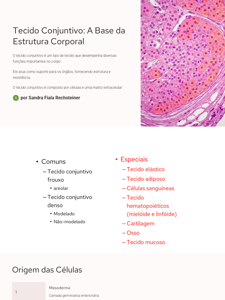 Tecido-Conjuntivo-A-Base-da-Estrutura-Corporal 2024 | PDF | Tecido ...