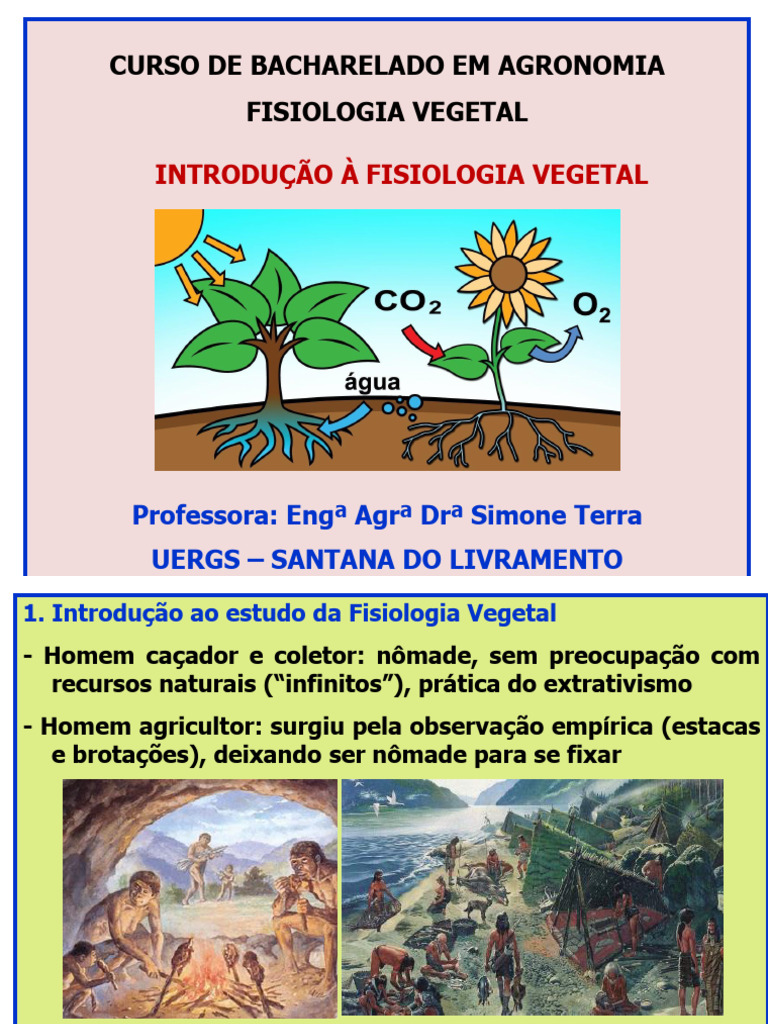 Aula 1 - Introd Fisio Vegetal | PDF | Plantas | Raiz