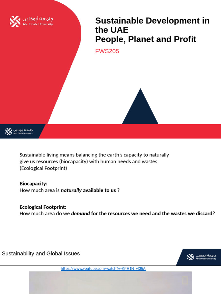 UAE's Path to Sustainable Development | PDF | Sustainability ...