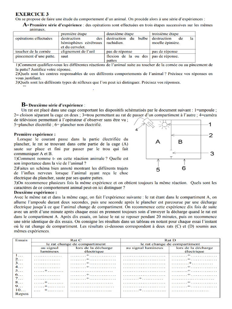Exercice Reflex | PDF