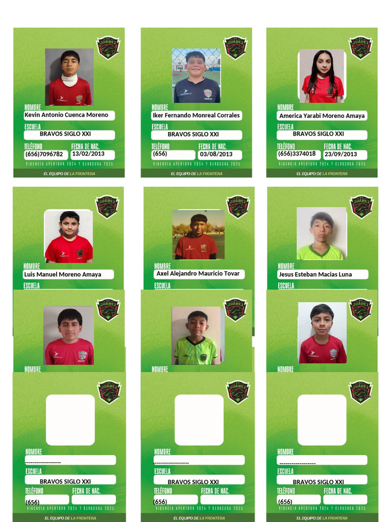 Formato Verde - Copa Bravo | PDF