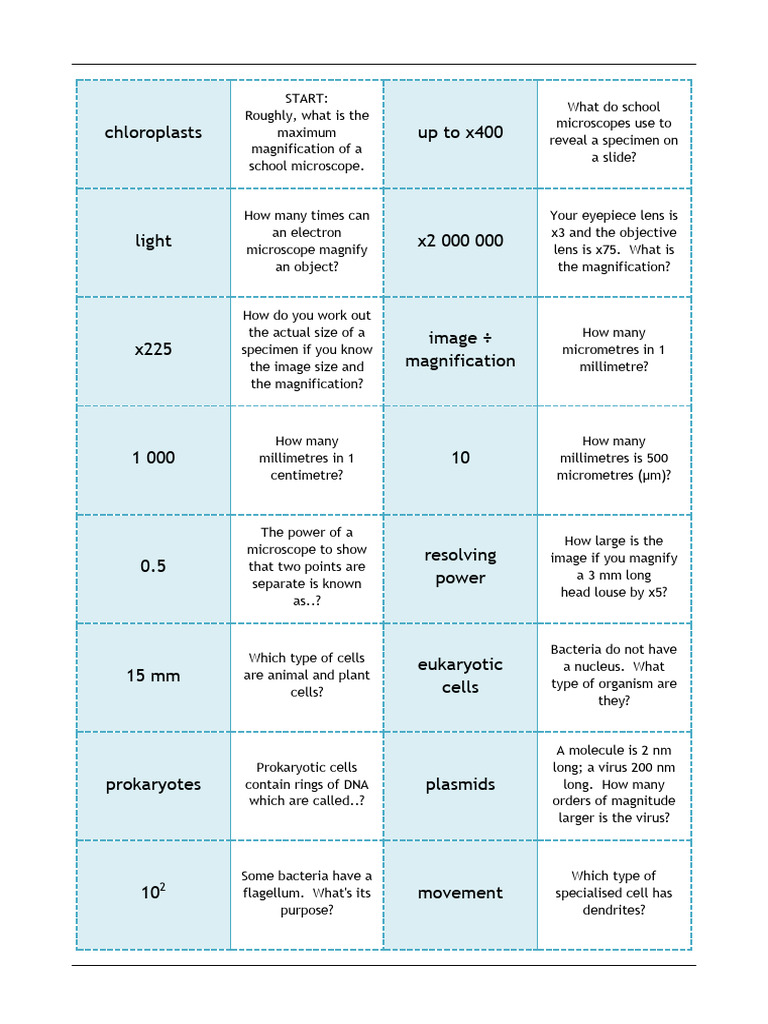 Cell Structure Dominoes | PDF | Cell (Biology) | Chloroplast
