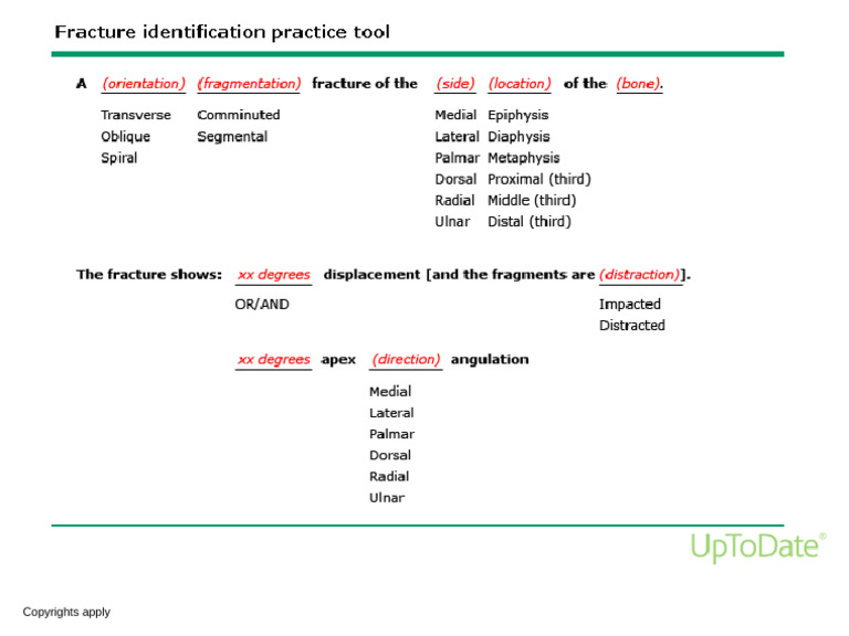 Fracture Identification Practice Tool | PDF