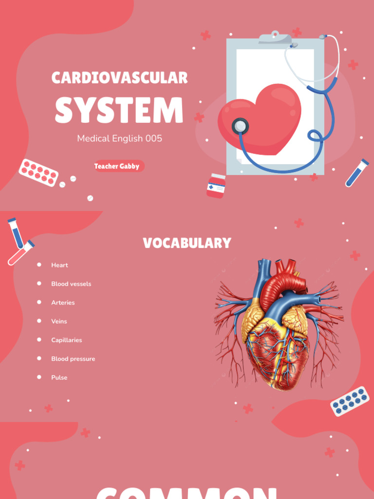 Cardiovascular System - Medical English 005 | PDF | Myocardial ...