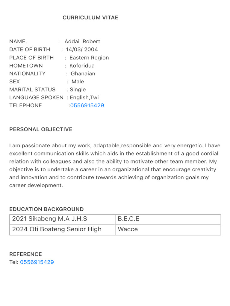 Curriculum Vitae2 | PDF