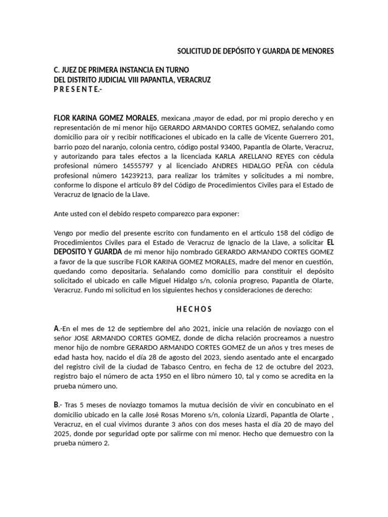 Deposito de Menores Flor Karina | PDF