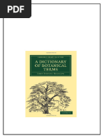 Adjectives For Describing A Plant | PDF | Plants | Flowers