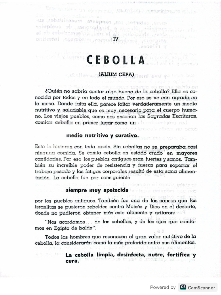 Propiedades de La Cebolla | PDF