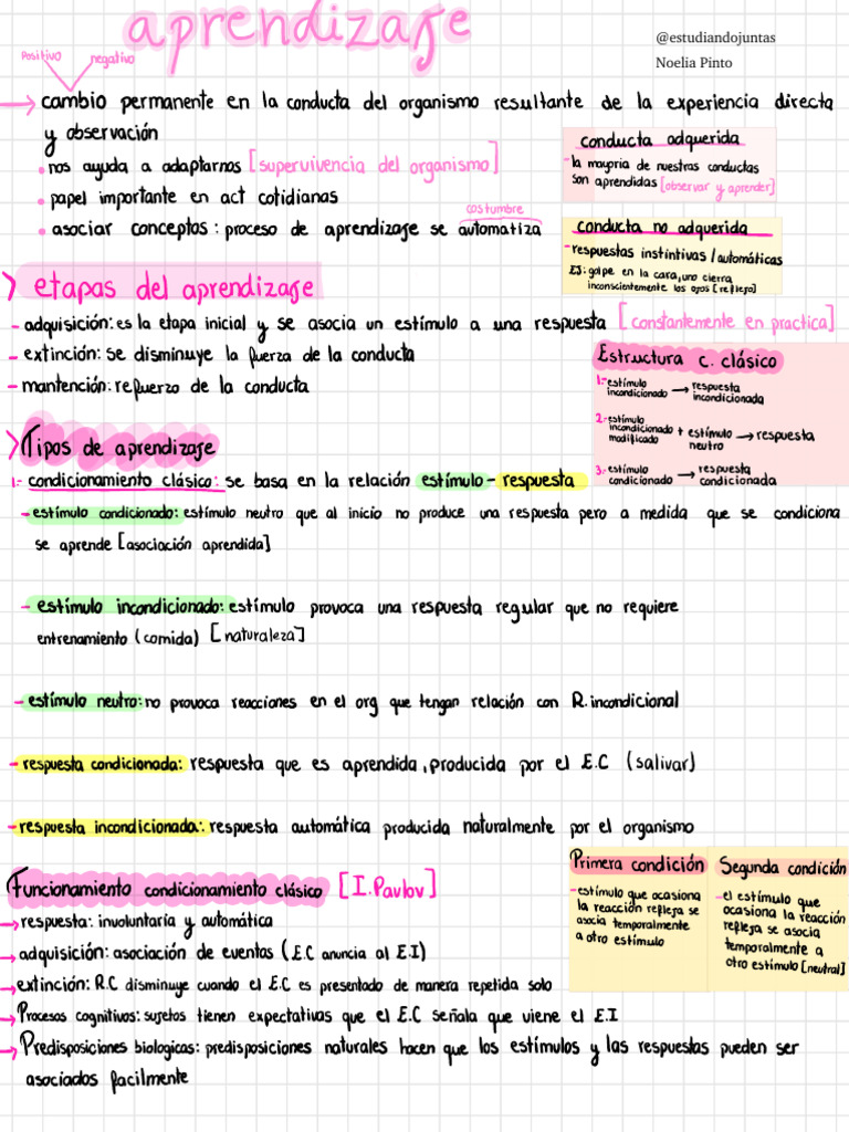Resumen Procesos I2 | PDF | Las emociones | Reforzamiento