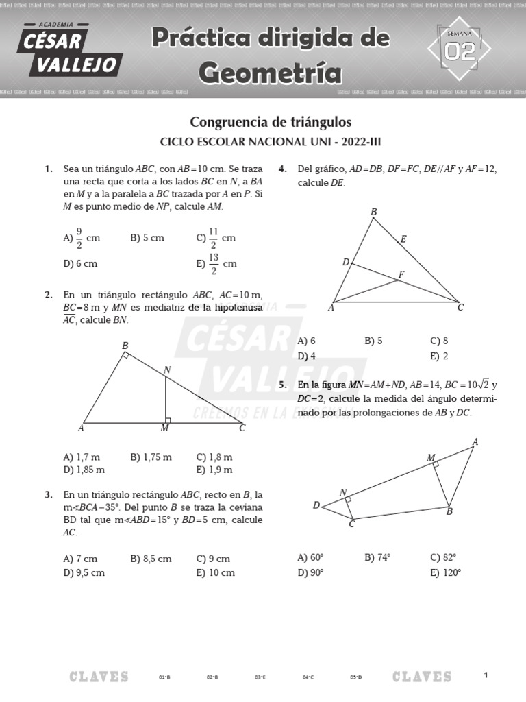 G Esc Nac UNI Diri Sem2 | PDF | Triángulo | Geometría Elemental
