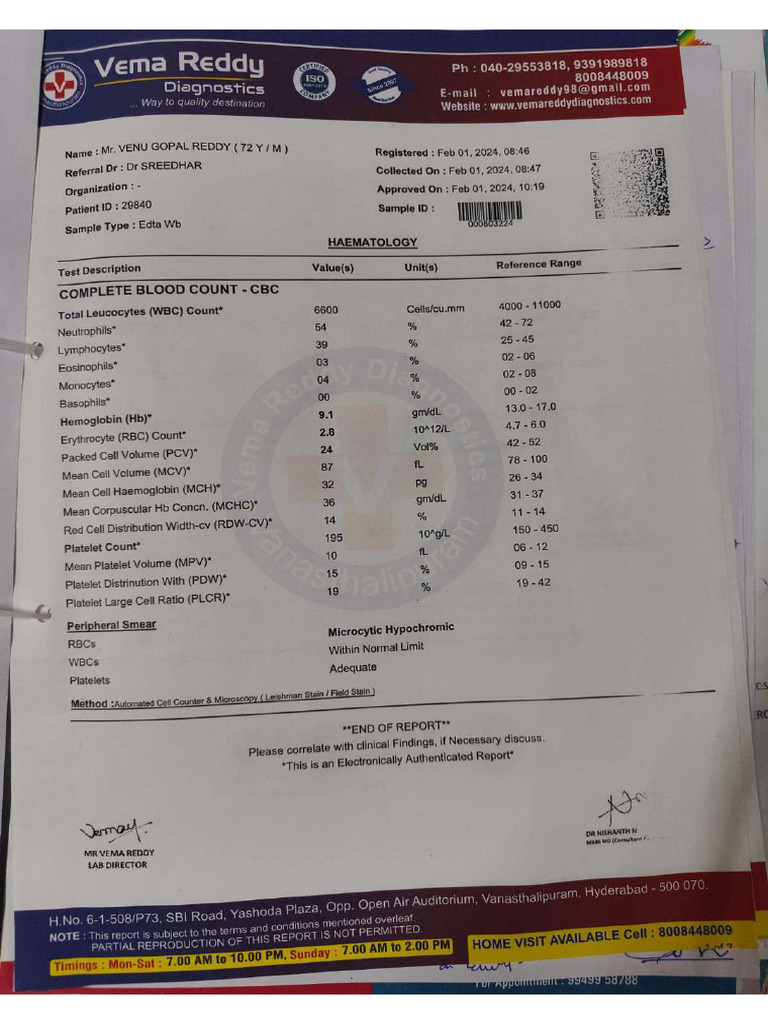 Vema Reddy (2024) | PDF